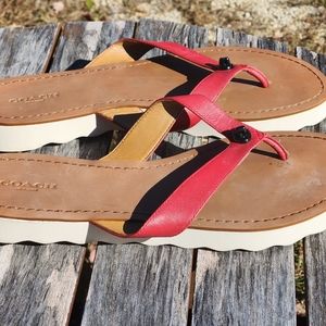 Coach | Shoes | Coach Shelly Leather Flip Flops Sandals 1 | Poshmark